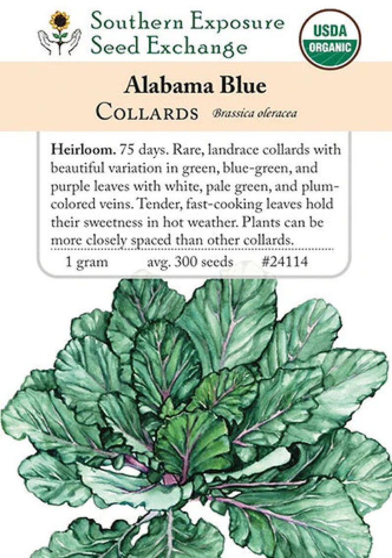 Collards, Organic, Heirloom, Greens, Spring, Fall, Winter, Vegetable ...