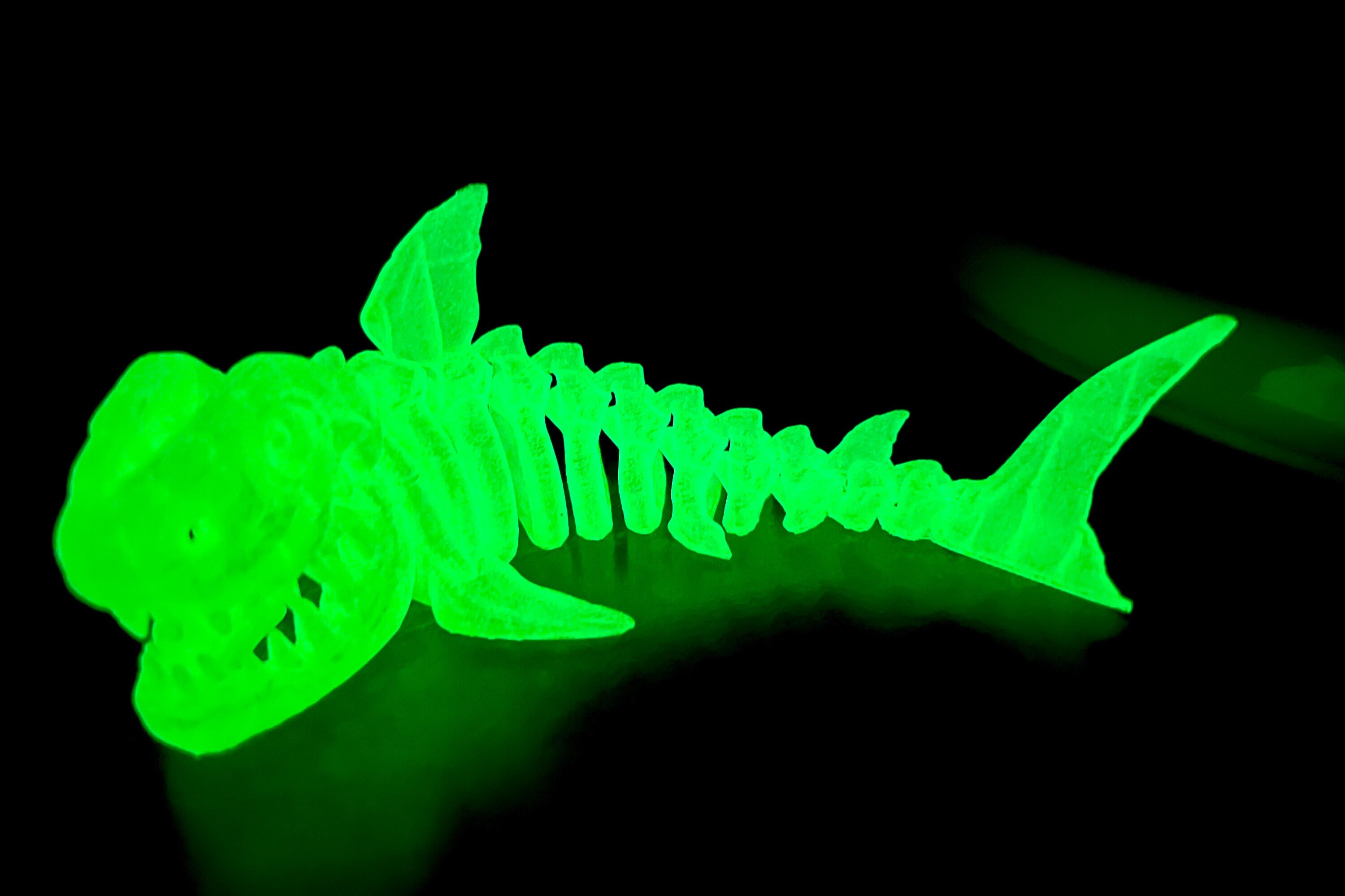3D Flexi Articulated Shark Authorized Flexi Factory Seller - Etsy