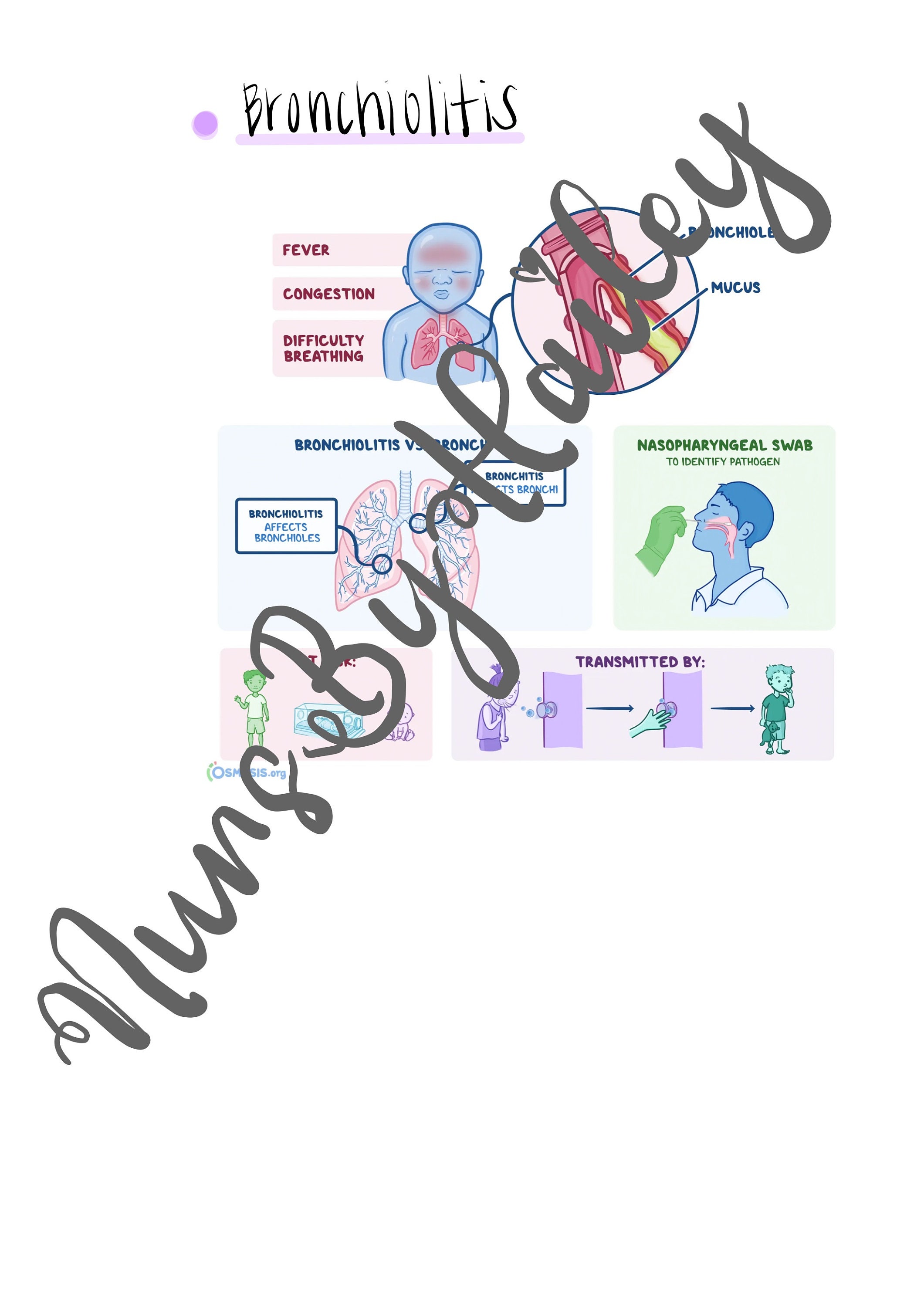 Gas Exchange & Respiratory Nursing Study Guide - Etsy