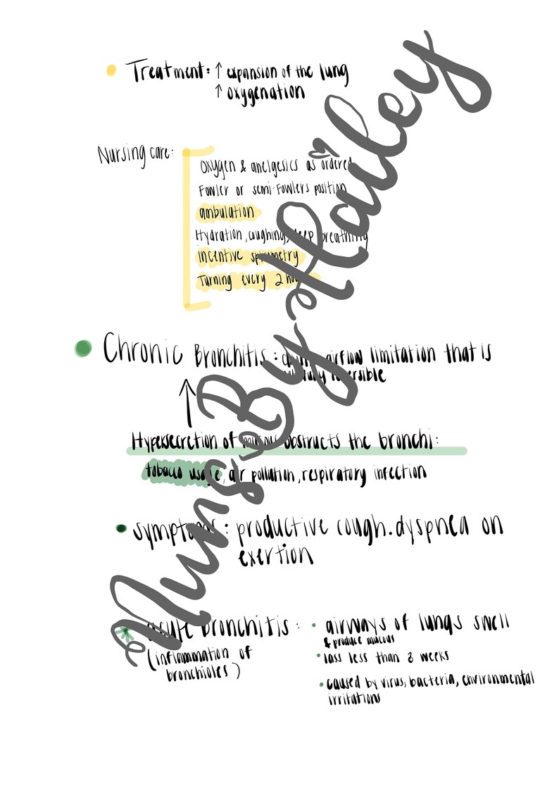 Gas Exchange & Respiratory Nursing Study Guide - Etsy