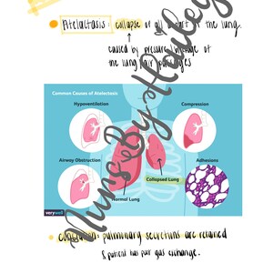 Gas Exchange & Respiratory Nursing Study Guide - Etsy