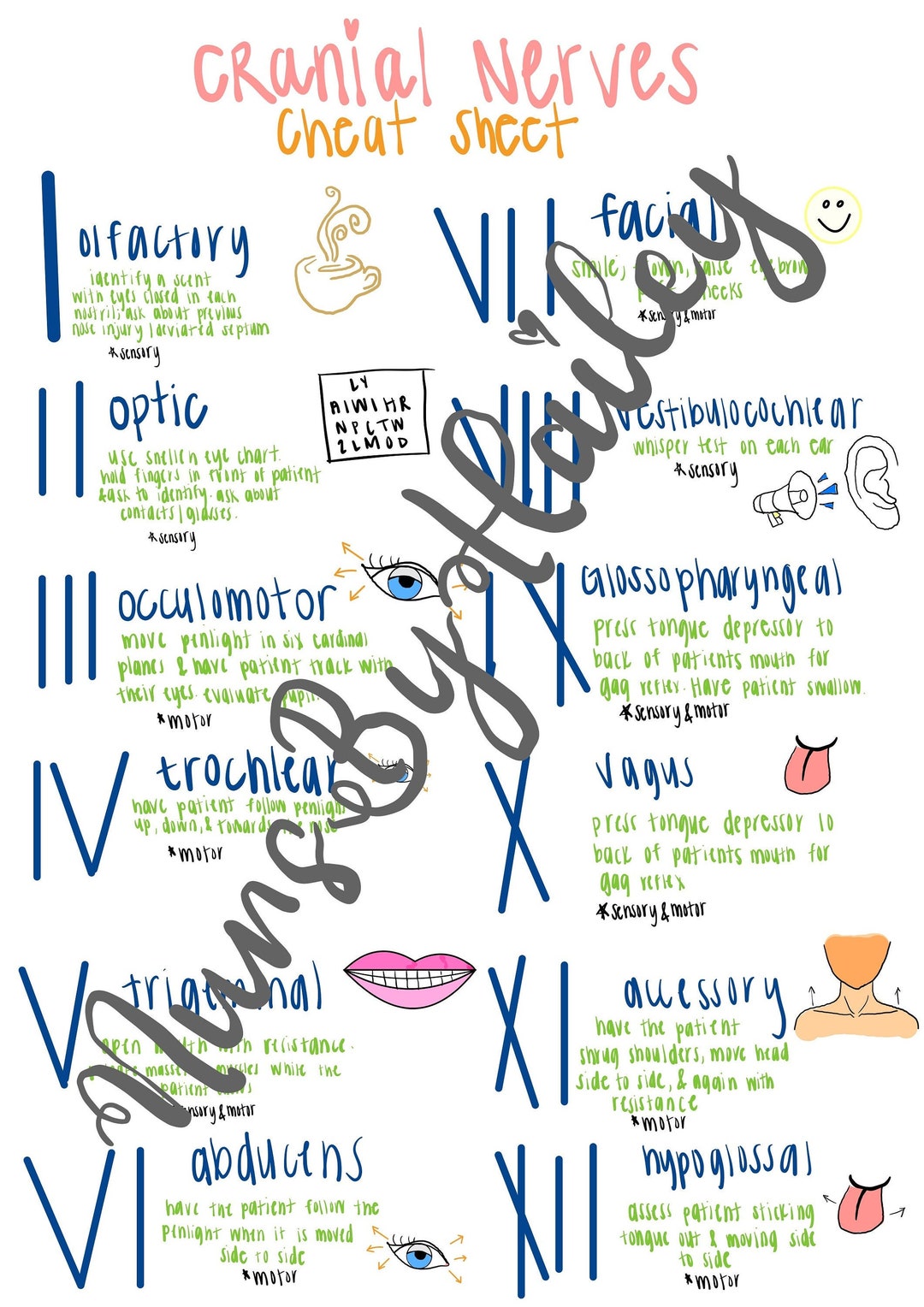 Cranial Nerves Nursing Cheat Sheet - Etsy