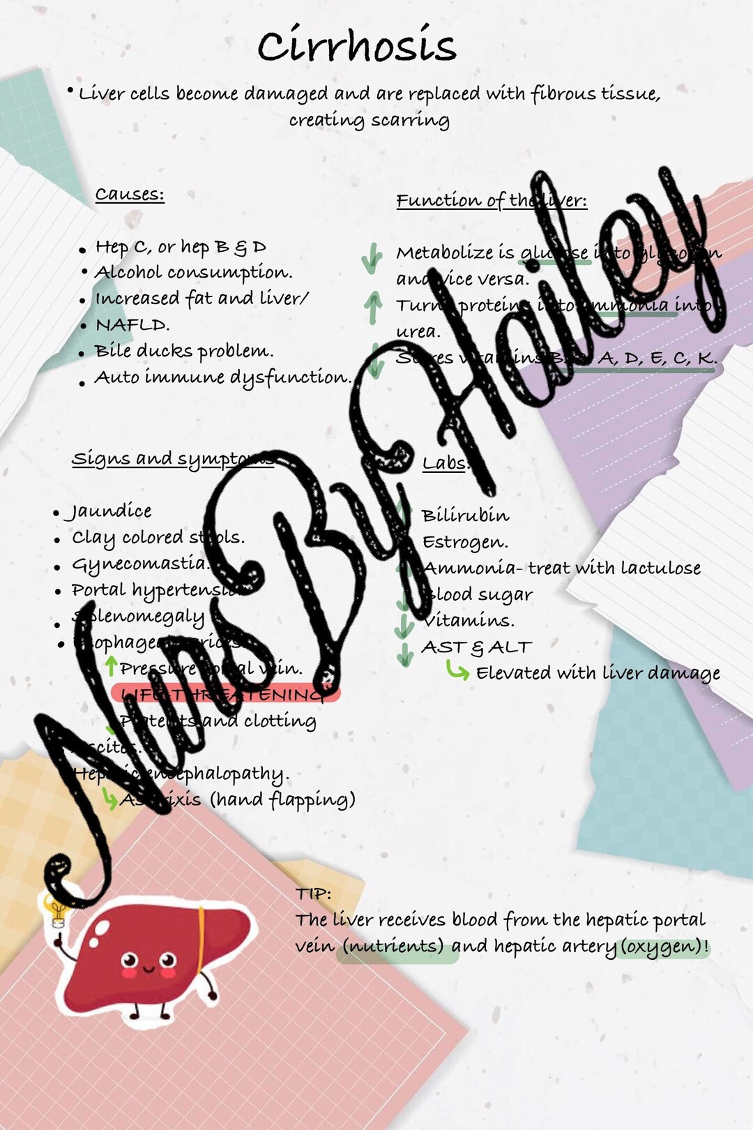 Cirrhosis Nursing Study Guide - Etsy