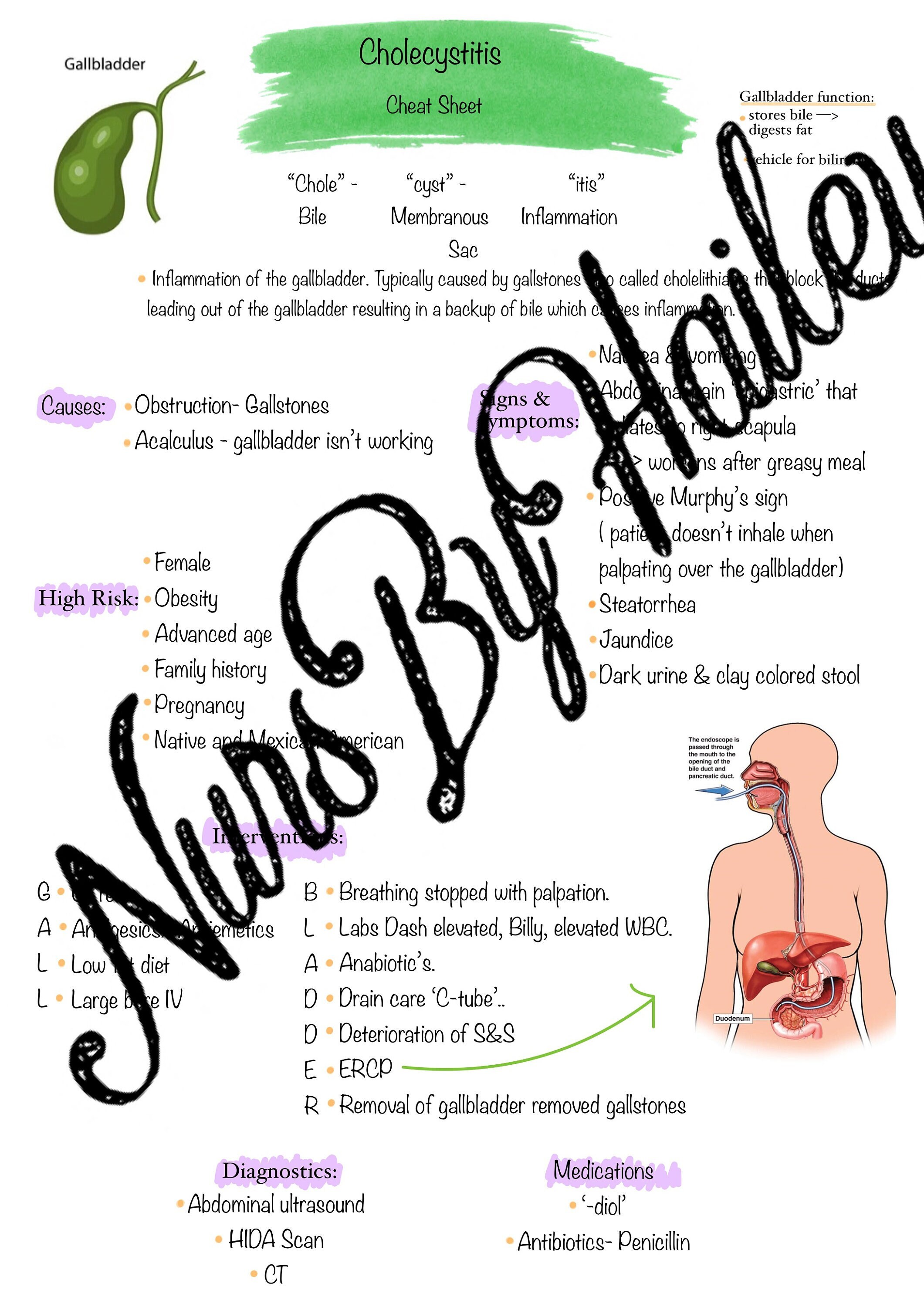 Cholecystitis Cheat Sheet! - Etsy