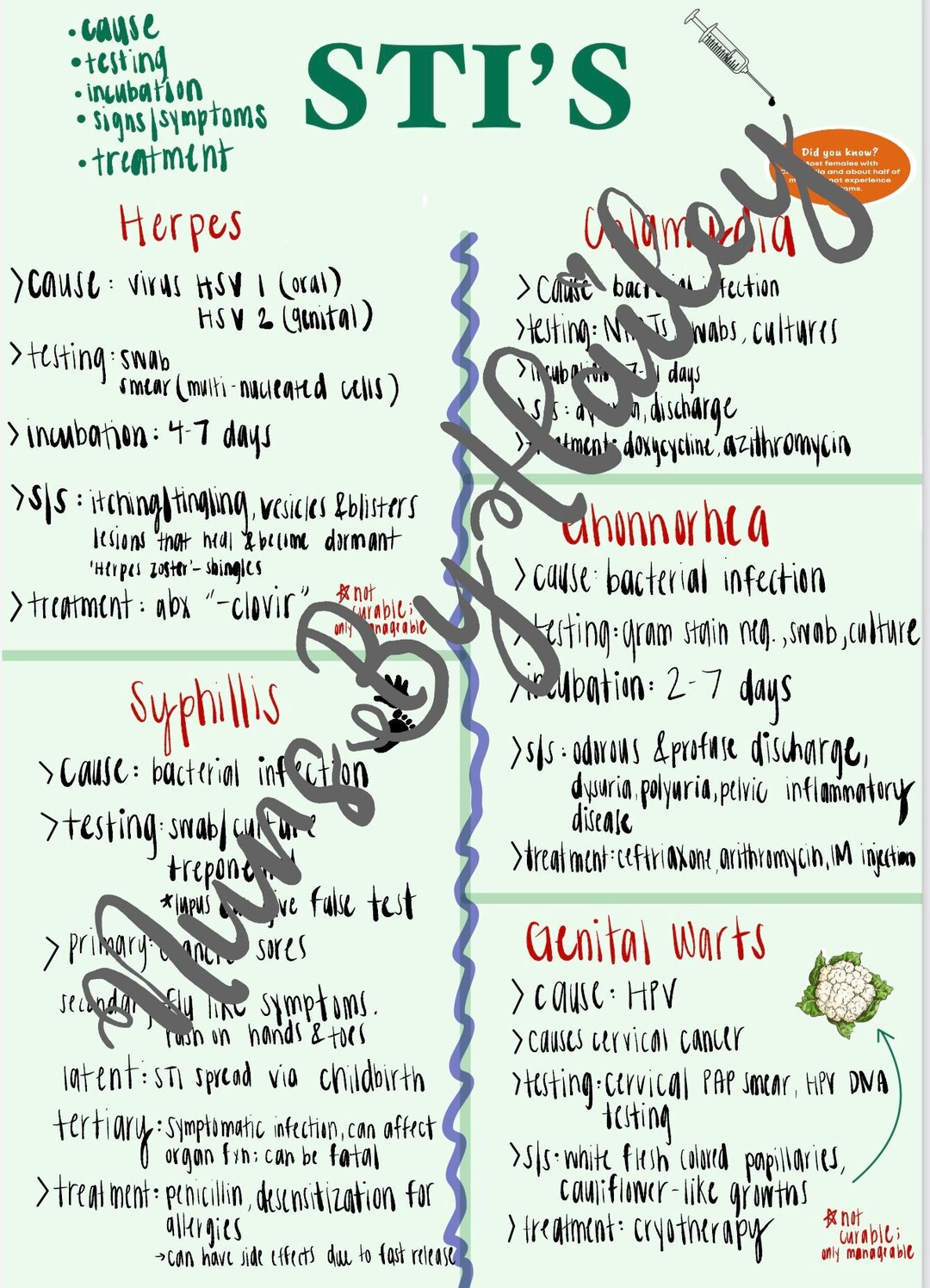 STI Nursing Cheat Sheet - Etsy