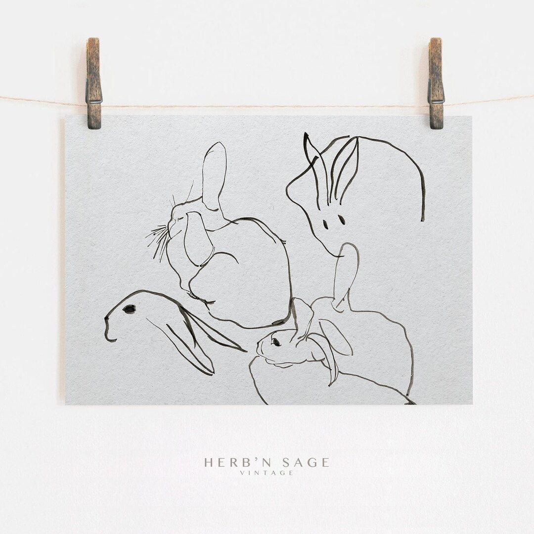 Vintage Rabbit Sketch | Antique Line Drawing of Bunnies | Old Drawing ...