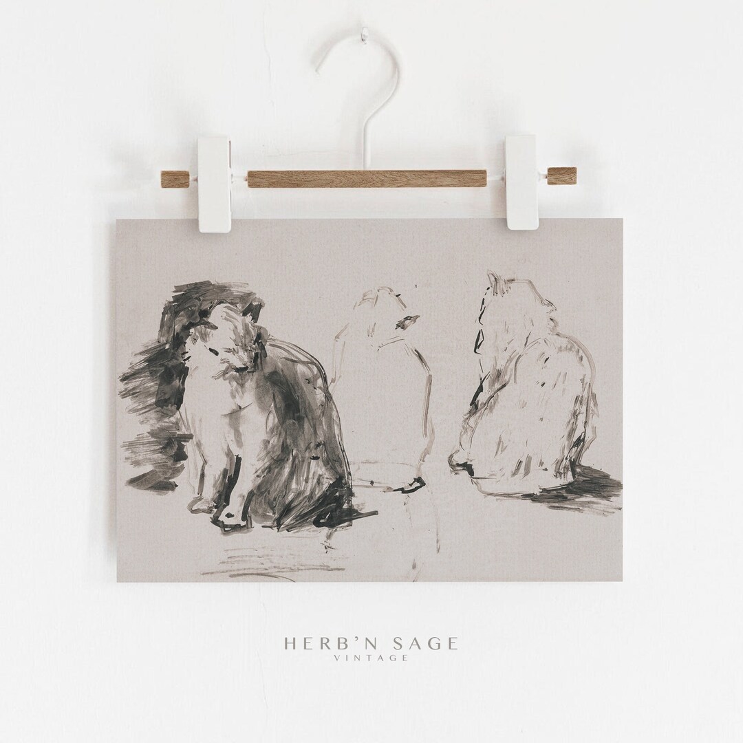Vintage Cat Sketch | Antique Charcoal Sketch of Felines | Old Drawing ...