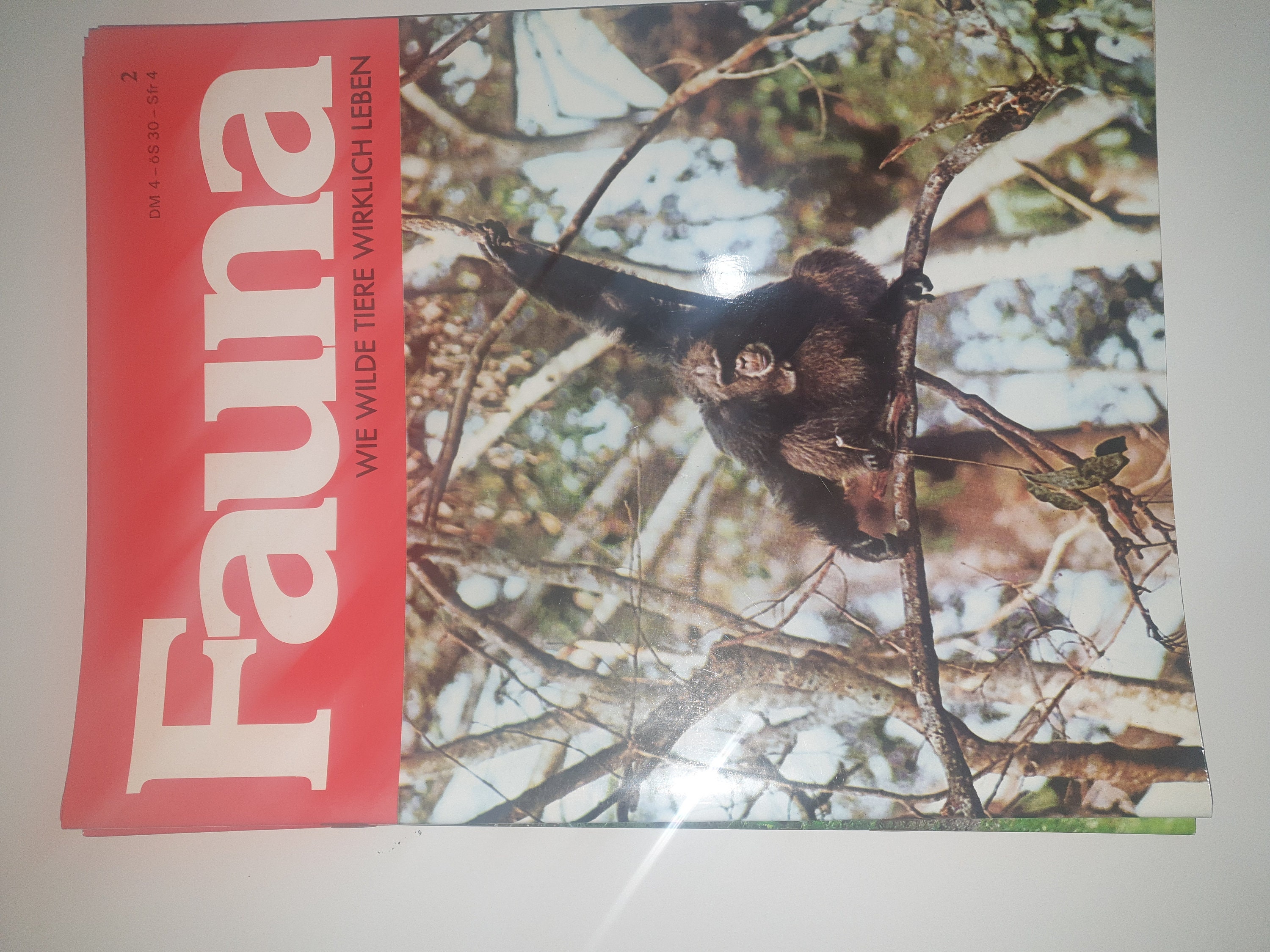 FAUNA How Wild Animals Really Live - Etsy