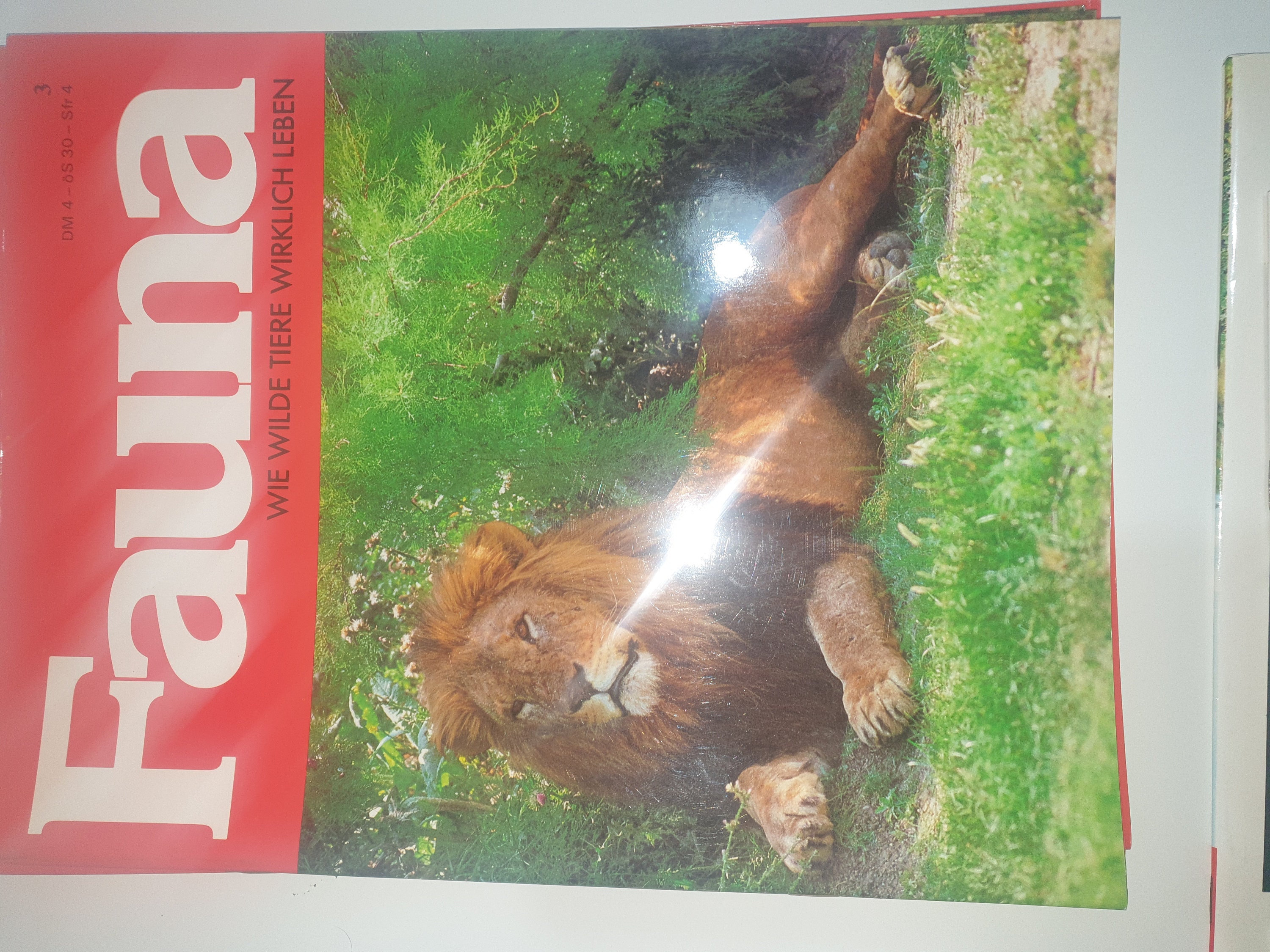 FAUNA How Wild Animals Really Live - Etsy