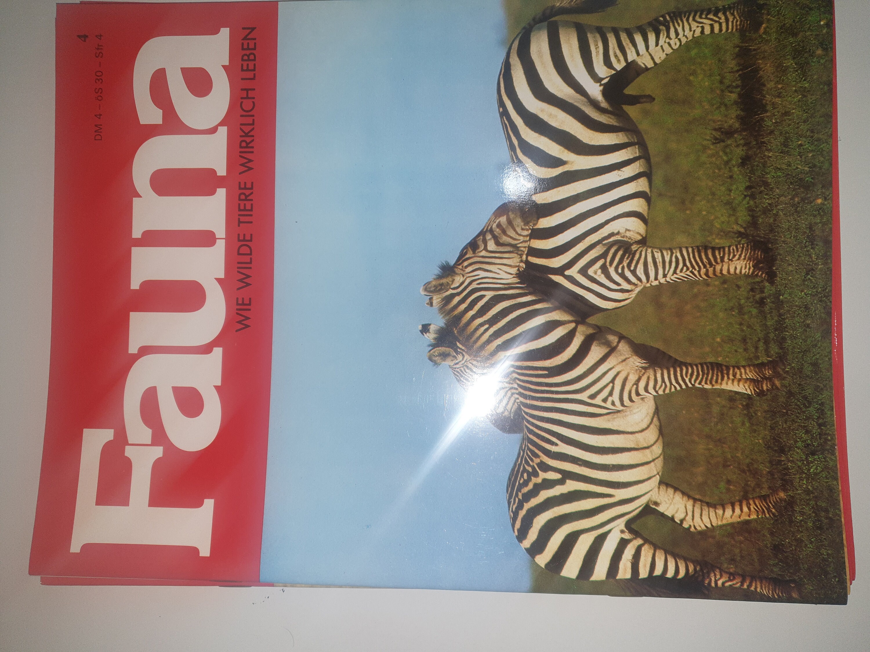 FAUNA How Wild Animals Really Live - Etsy