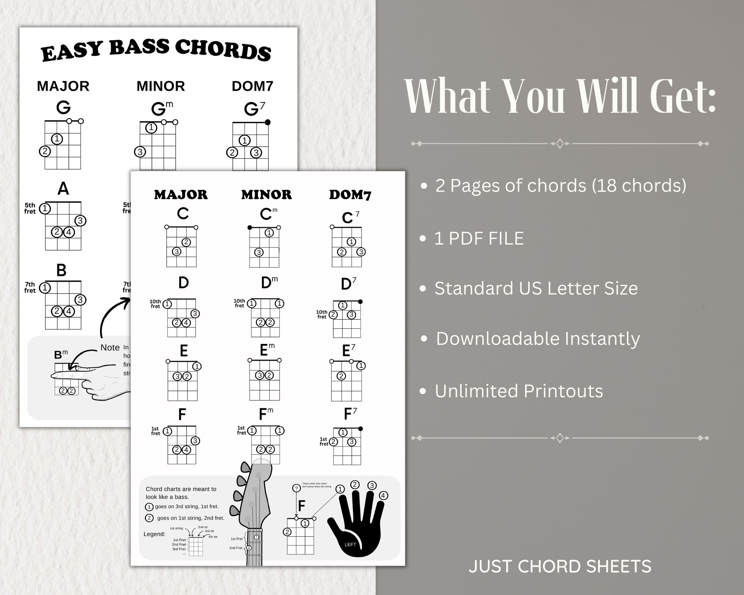 Bass Chord Chart for Beginners Printable at Home for Bass Student Play ...