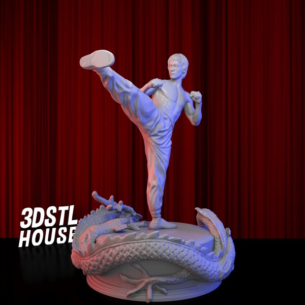 Bruce Lee Stl File - Etsy