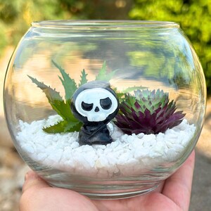 Goth Terrarium Desk Pet Grim Reaper Small Terrarium Halloween Terrarium ...