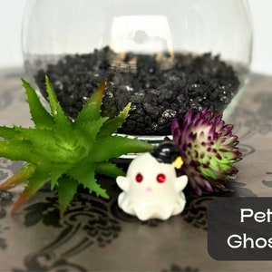 Goth Terrarium Desk Pet Grim Reaper Small Terrarium Halloween Terrarium ...