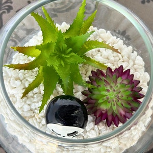 Goth Terrarium Desk Pet Grim Reaper Small Terrarium Halloween Terrarium ...