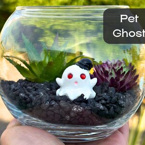 Goth Terrarium Desk Pet Grim Reaper Small Terrarium Halloween Terrarium ...