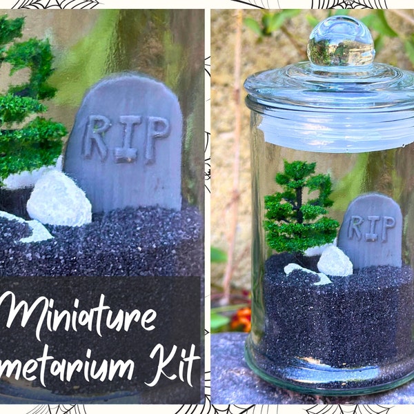 Terrarium - Etsy