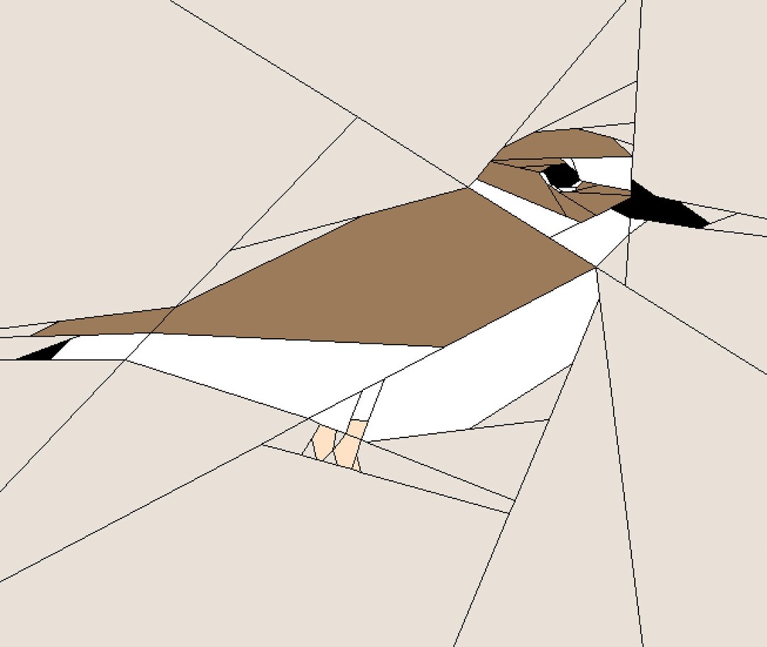 Wilson's Plover - Foundation Paper Piecing Pattern (FPP) - Pattern via ...