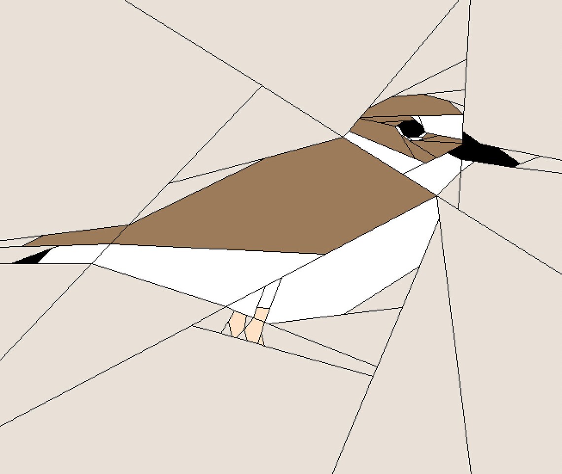 Wilson's Plover - Foundation Paper Piecing Pattern (FPP) - Pattern via ...