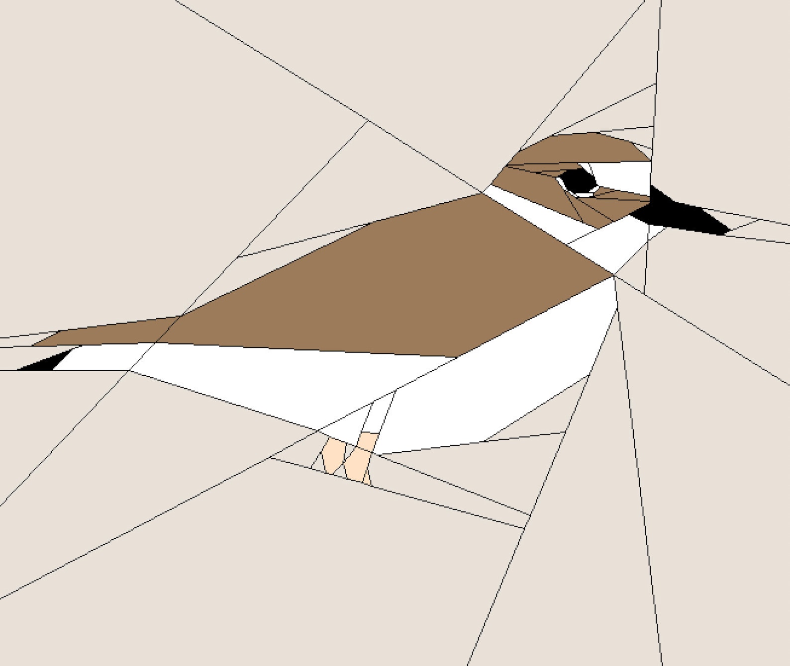 Wilson's Plover - Foundation Paper Piecing Pattern (FPP) - Pattern via ...