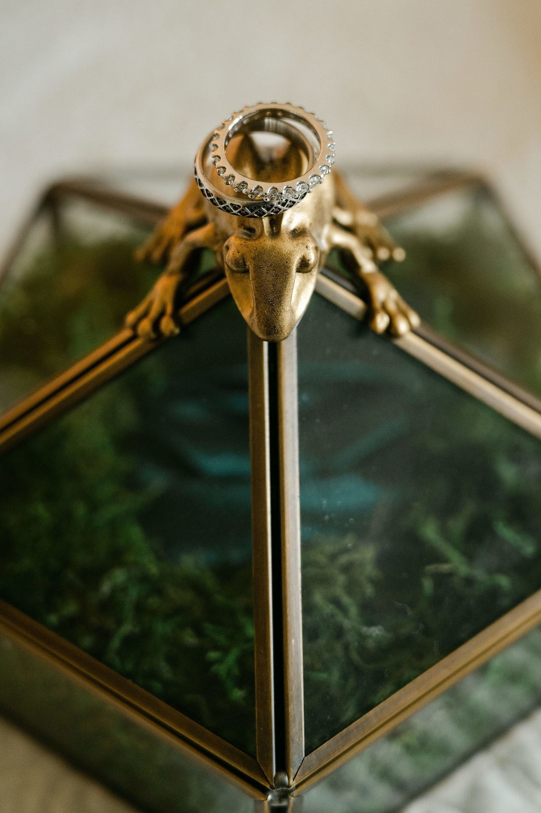 Fantasy Wedding Ring Box Ring Bearer Frog Box Nerd - Etsy