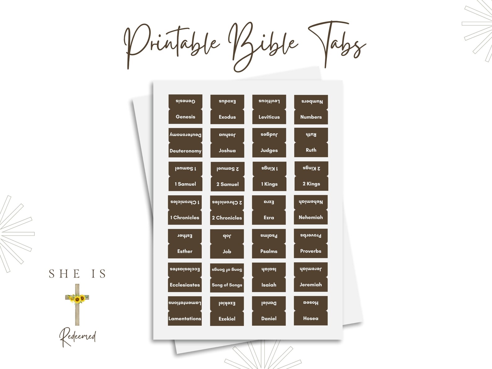 Printable Bible Tabs: Genesis to Revelation, Brown (DIY PDF) - Etsy