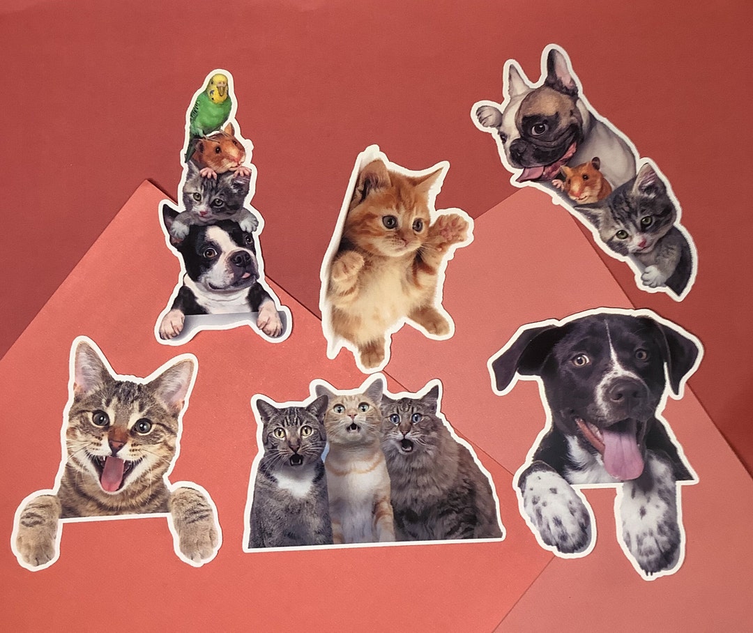 6 Sticker Pack Cute Animals Vinyl Stickers Approx Size 2.5inch - Etsy