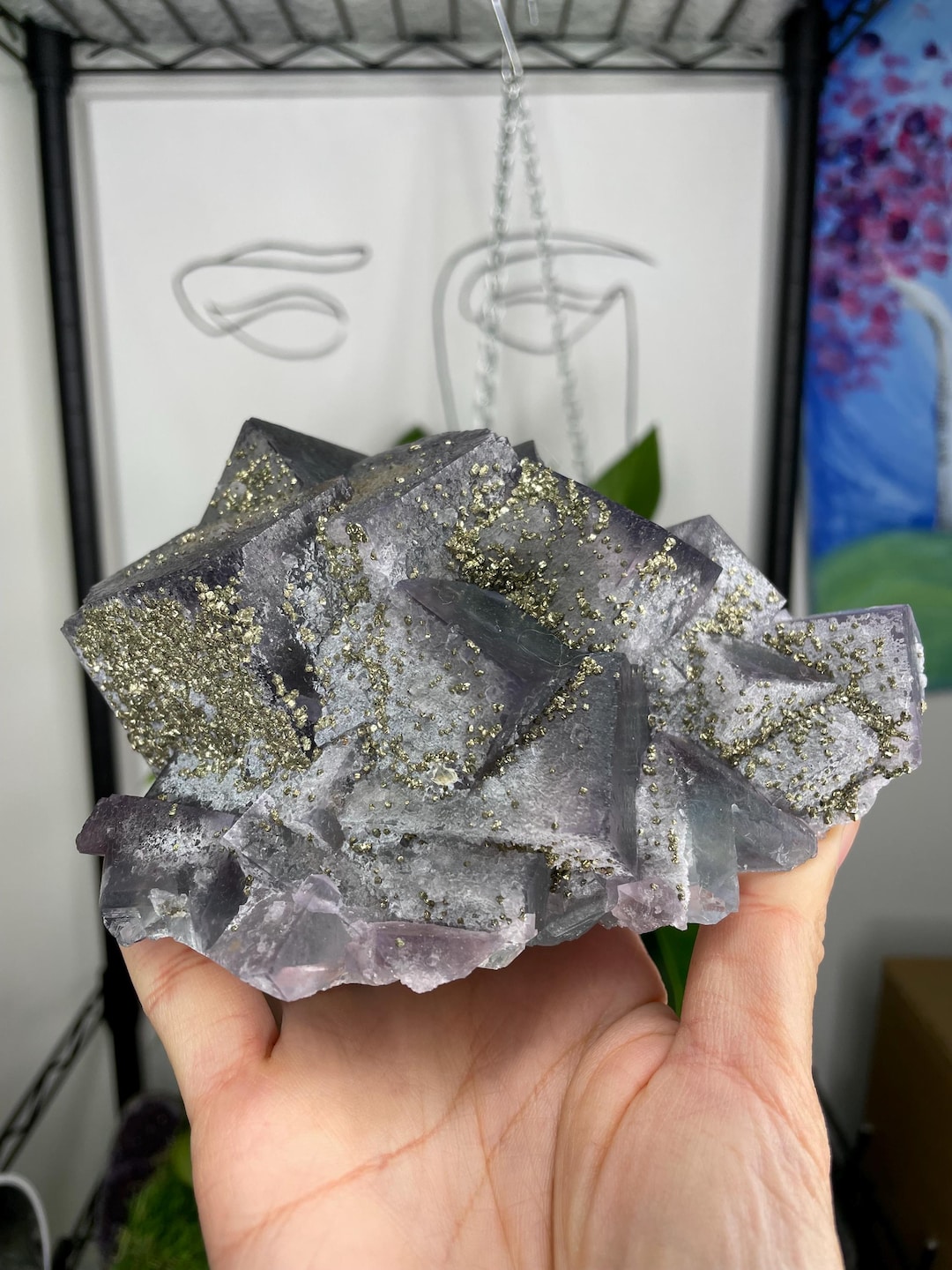 Rare Blue/green Fluorite Cube Clusters With Purple Edges and Pyrite on the Surface // From ...