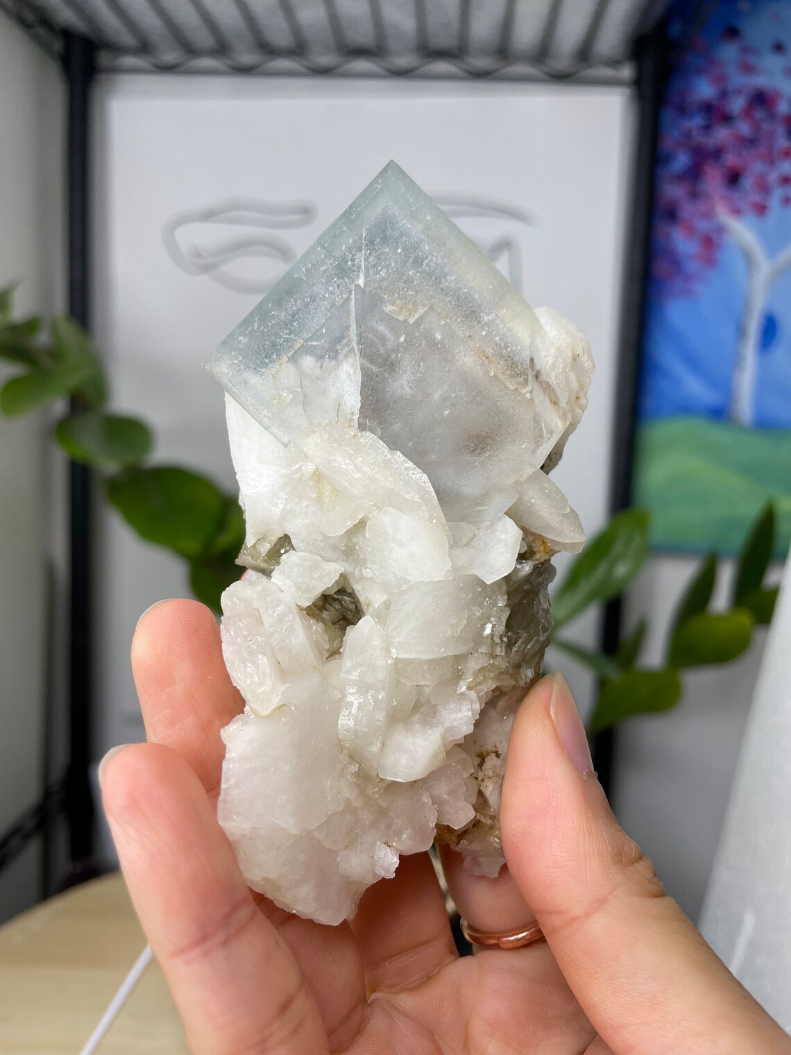 Super Rare Light Blue Fluorite With Amazing Phantom on Calcite/mica ...