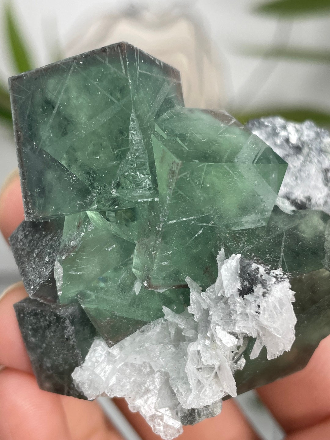 High Quality Lustre Surface Green Cubic Fluorite With Calcite on Matrix ...