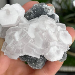 Light Pink “sandwich” Calcite Cluster on Sugary Matrix From Fujian - Etsy