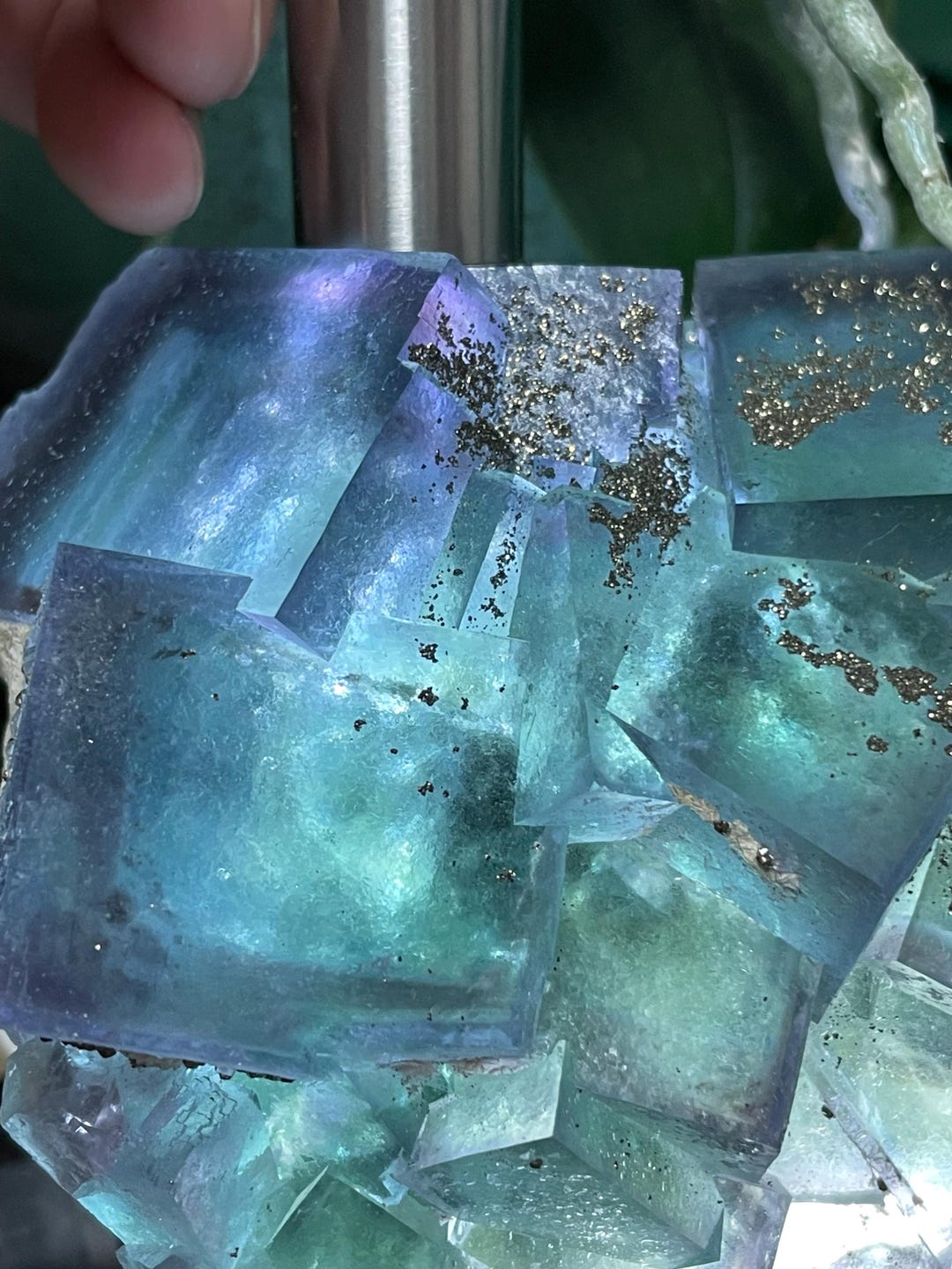 Gorgeous Mermaid Colored Fluorite Cube Cluster With Pyrite From Fujian ...