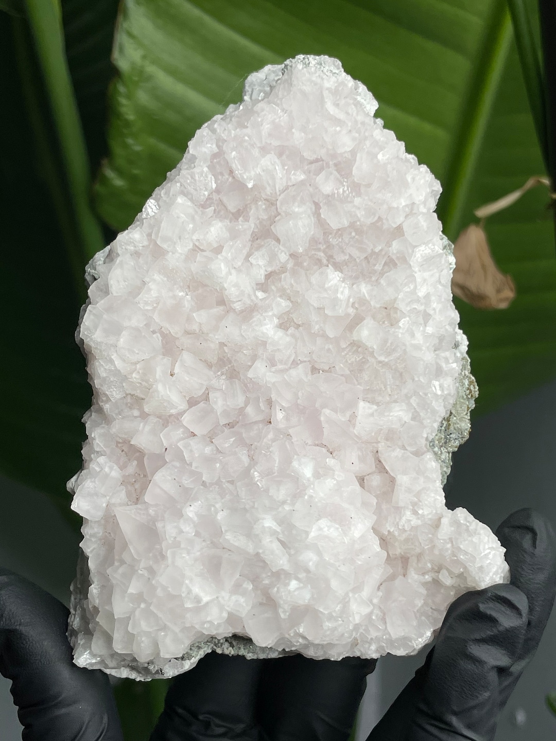 Pink Mangano Calcite From Bulgaria // UV Reactive - Etsy