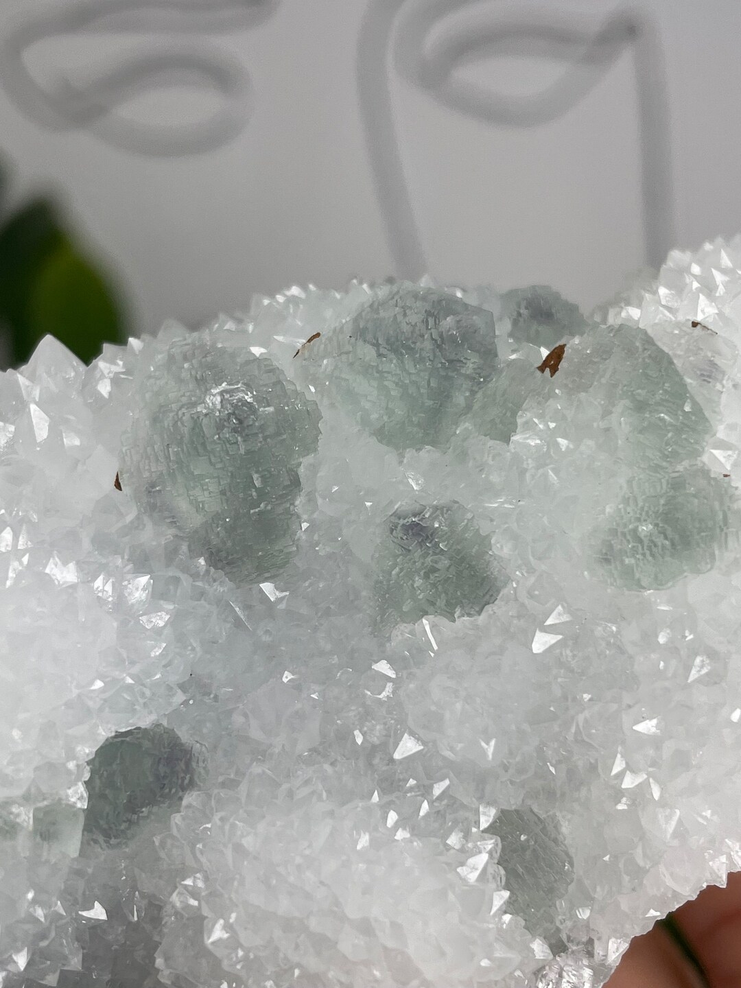 Beautiful Green Octahedral Fluorite on Quartz// Looks Like A Fluffy ...
