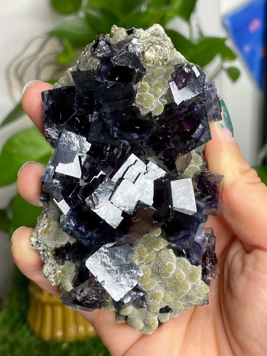 Super Dark Purple Fluorite Cube Cluster on Mica Matrix From Inner ...