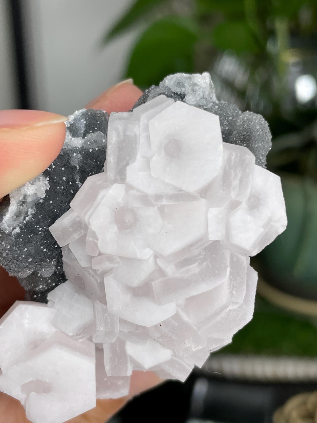 Light Pink “sandwich” Calcite Cluster on Sugary Matrix From Fujian - Etsy