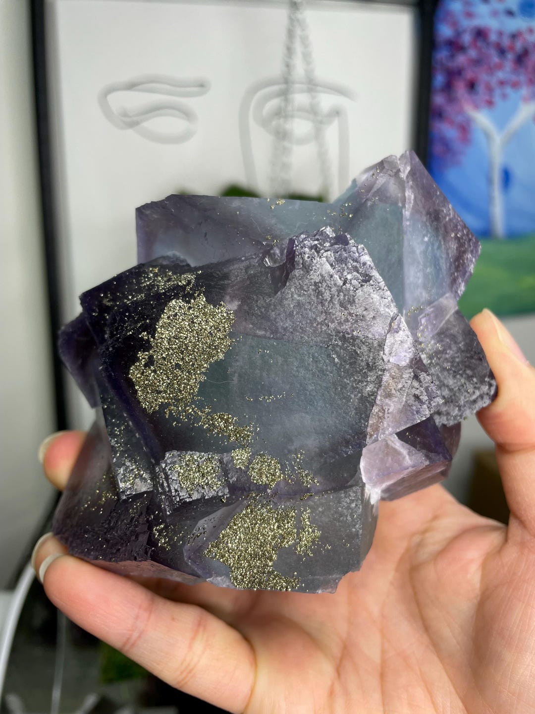 Rare Blue/green Fluorite Cube Clusters With Purple Edges and Pyrite on ...