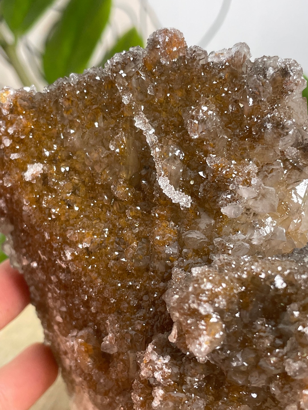 Large Rare Danburite Covered in Sparkly Phantom Quartz From Mexico - Etsy