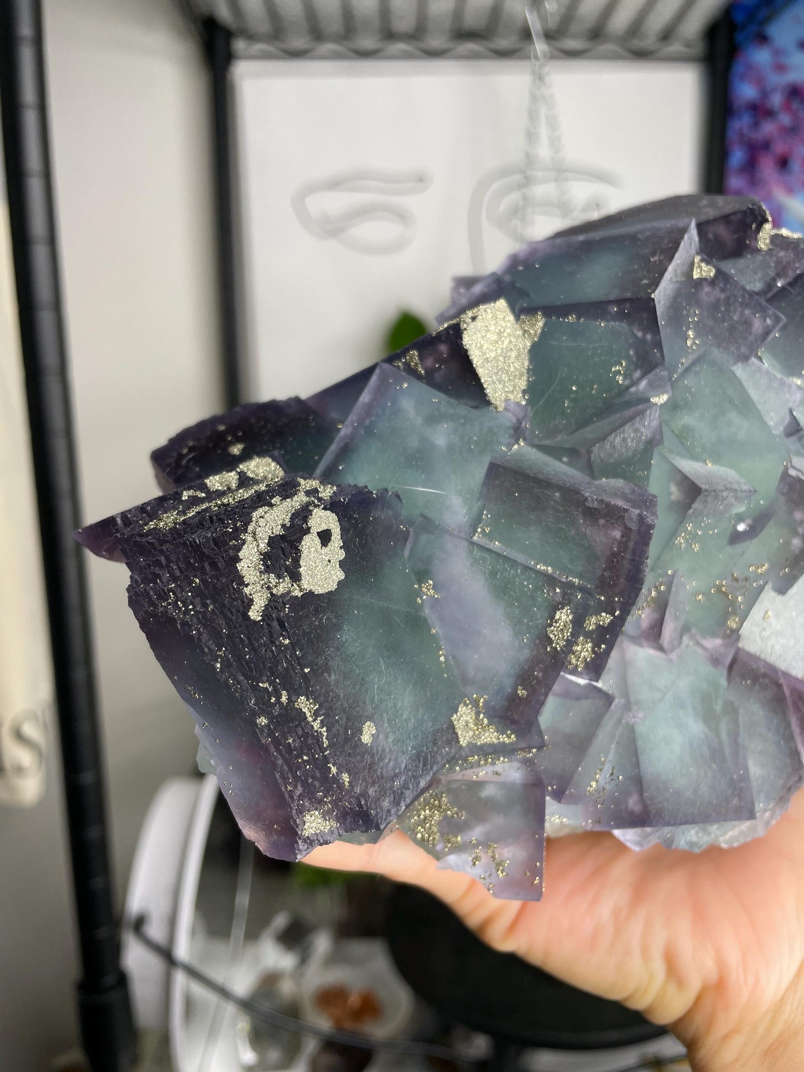 Rare Blue/green Fluorite Cube Clusters With Purple Edges and Pyrite on ...