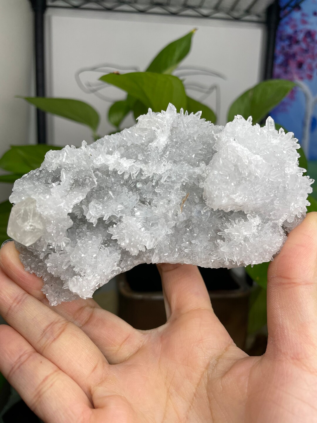 Sparkly Quartz Cluster With Single Calcite From Fujian - Etsy