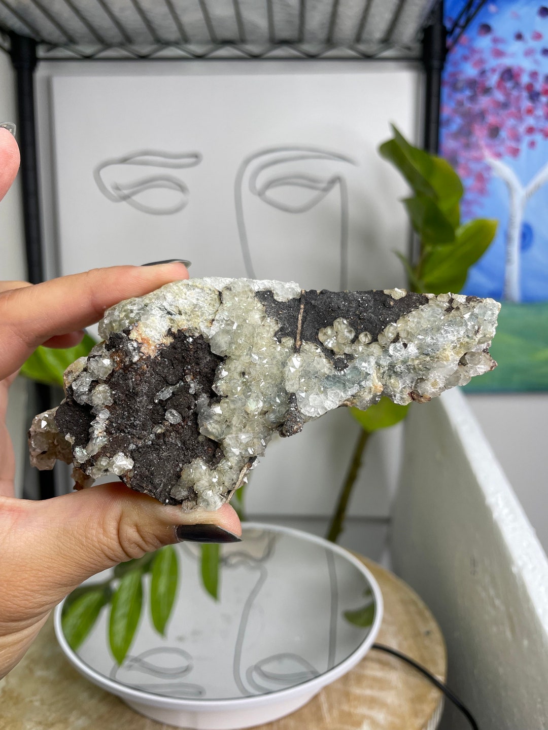 Clearance Green Quartz/prasiolite From Chihuahua Mexico - Etsy