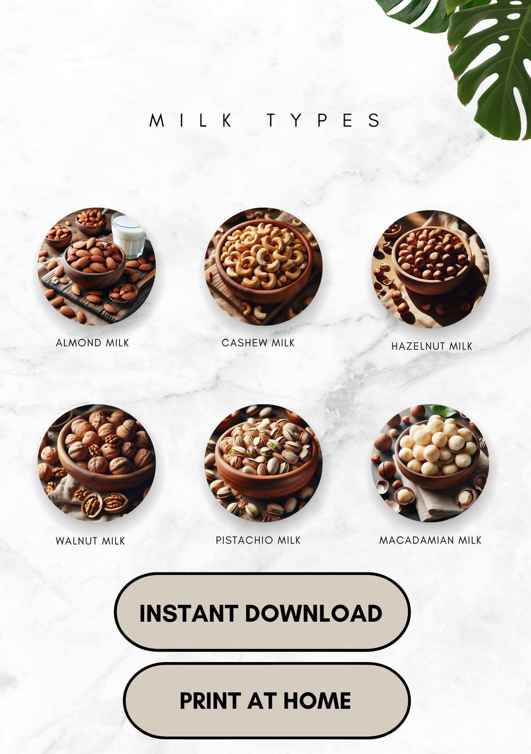 Dairy Free |best Vegan Milk |dairy Alternatives |milk Comparison Chart ...