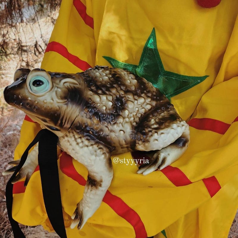 Frog Backpack - Etsy