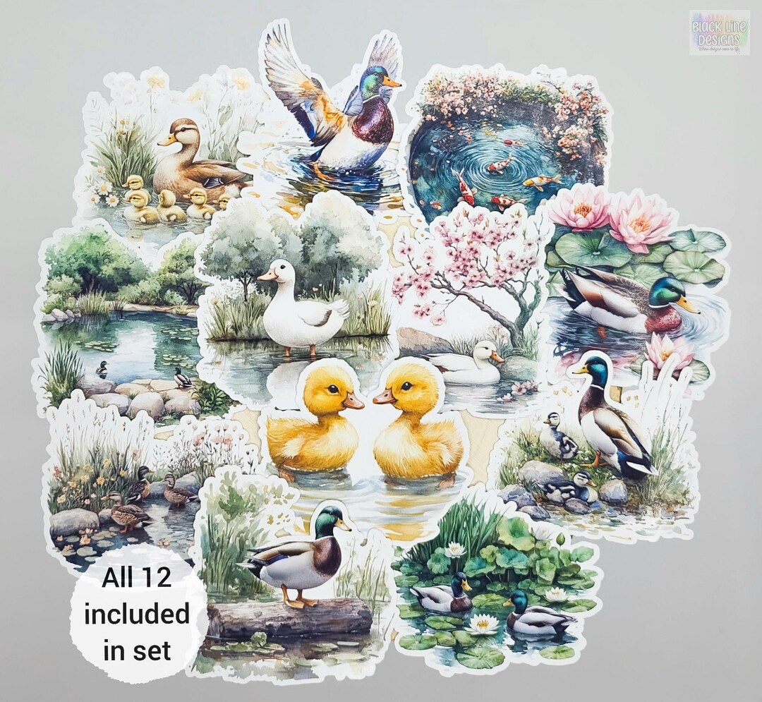 Realistic Duck Pond Stickers | Set of 12 | Watercolour Glossy ...