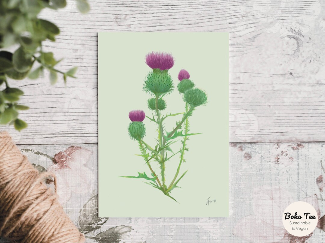 Scottish Thistle Flower Birthday Card - 7x5 Professionally Printed ...
