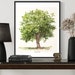 Walnut Tree Art Print, Walnut Tree Wall Art Poster - Etsy