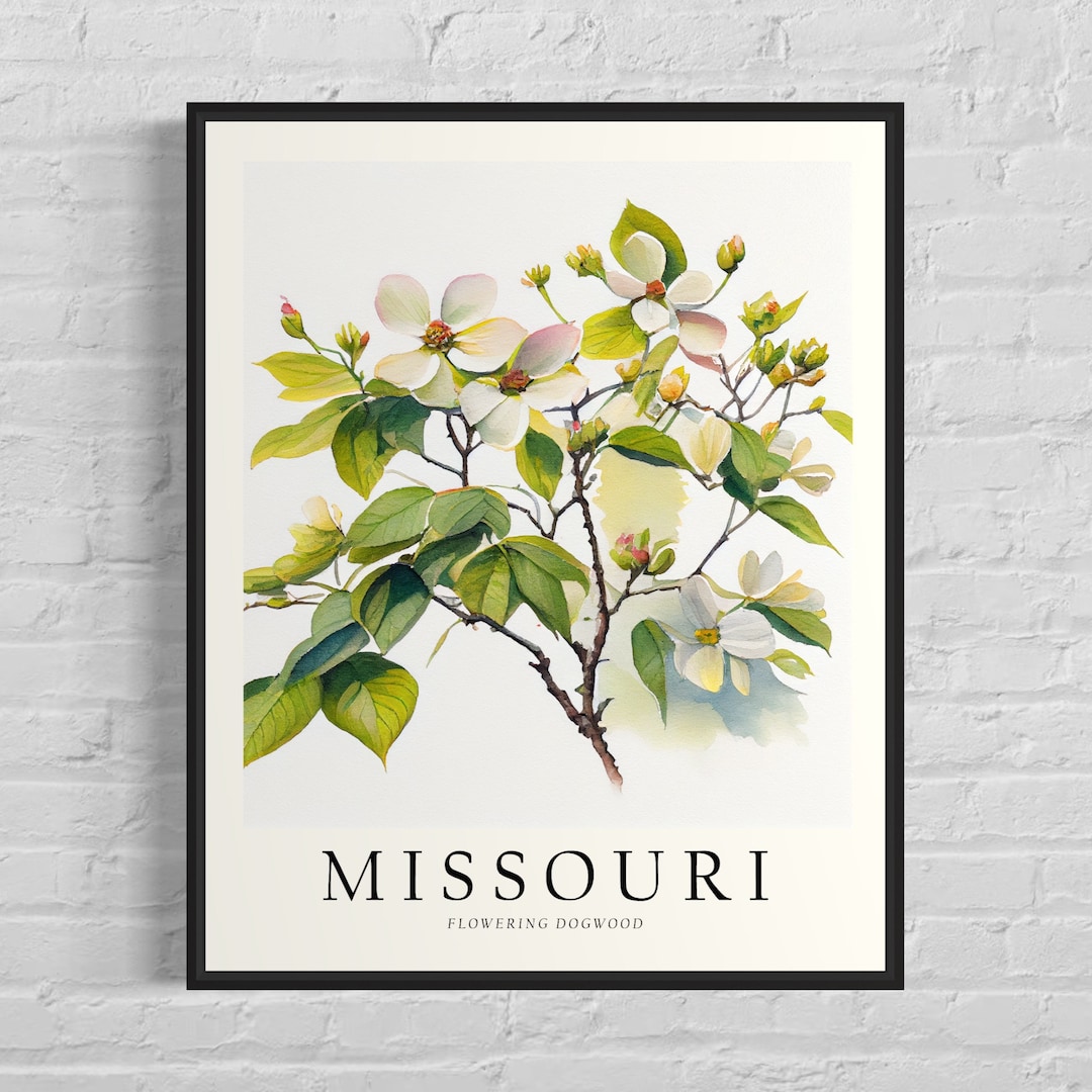 Missouri State Tree Art Print, Flowering Dogwood Tree Wall Art, State ...