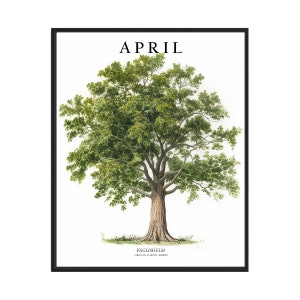 April Tree Month English Elm Tree Art Print, English Elm Tree Wall Art ...