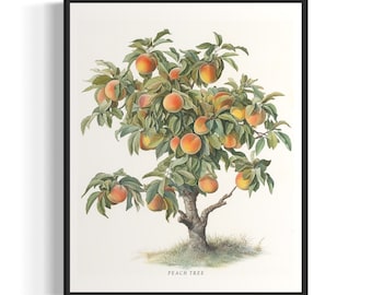 Peach Tree Art, 1972 Vintage Peach Tree Print, Pink Flower Wall Decor ...