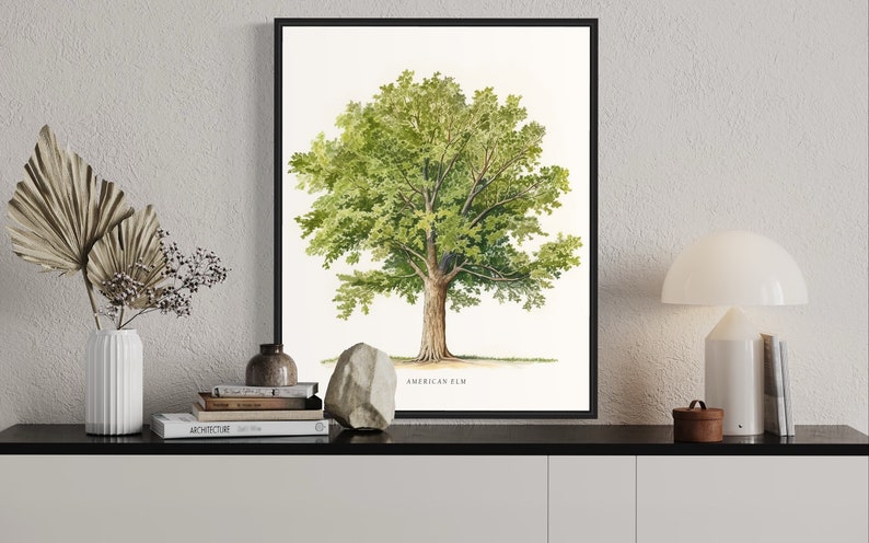 American Elm Tree Art Print American Elm Tree Wall Art Poster - Etsy